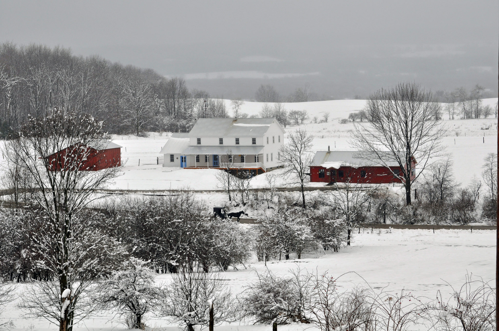 Five Amish Winter Beauties » Amish 365