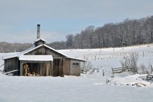 Where Are The Amish in New York? » Amish 365