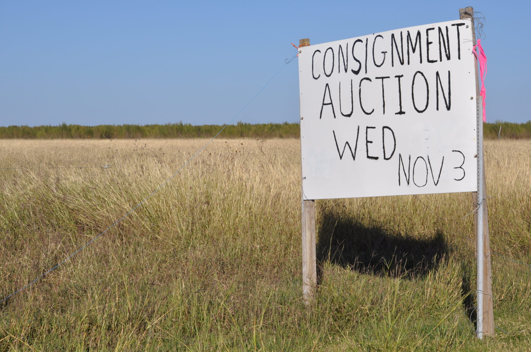 Updated 2026: The Ultimate Guide To Amish Auctions » Amish 365