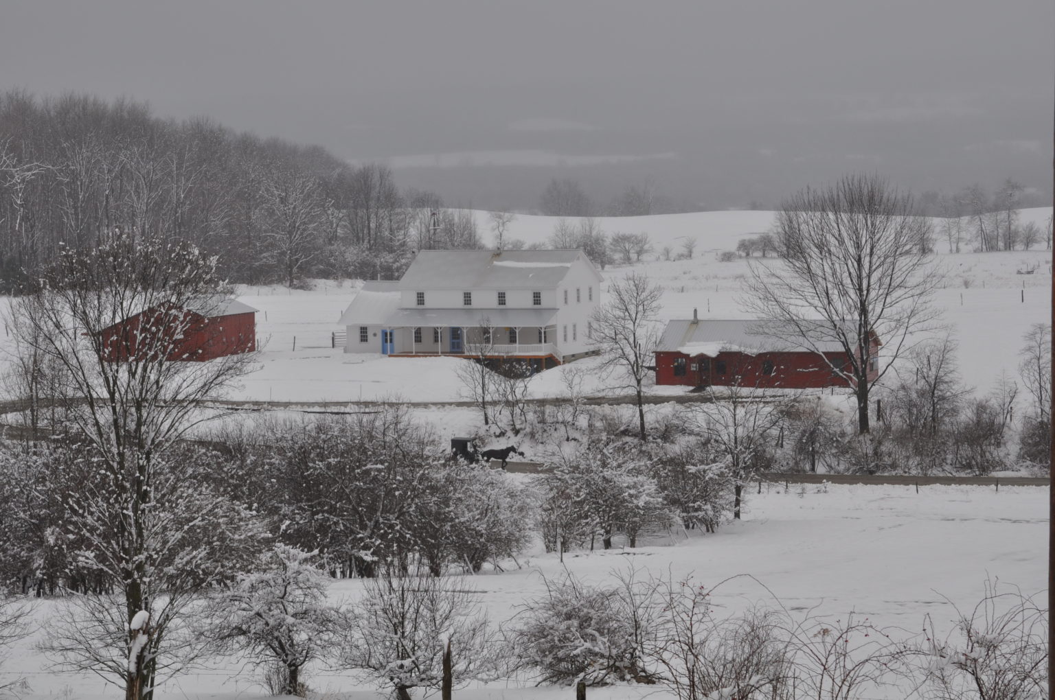 Where Are The Amish in New York? » Amish 365
