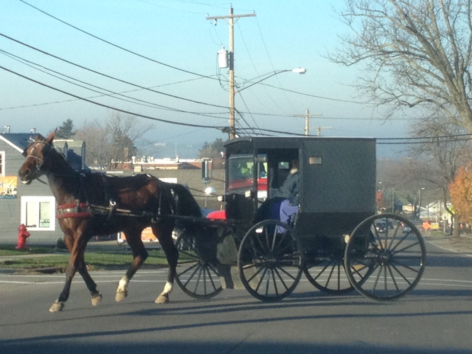 The Ultimate Guide to the Amish: Everything You Need to Know About ...