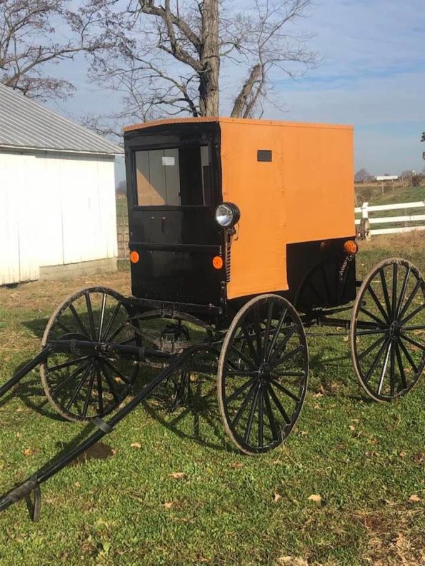 The Fascinating World of Amish Buggies: A Complete Guide » Amish 365