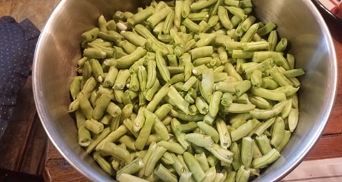 The Secret to Amish Half-Runner Green Beans That'll Make You Forget ...