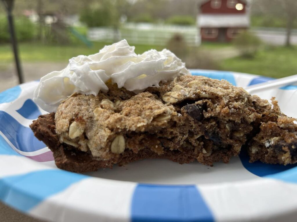 Amish Chocolate Chip-Cinnamon Desperation Pie » Amish 365
