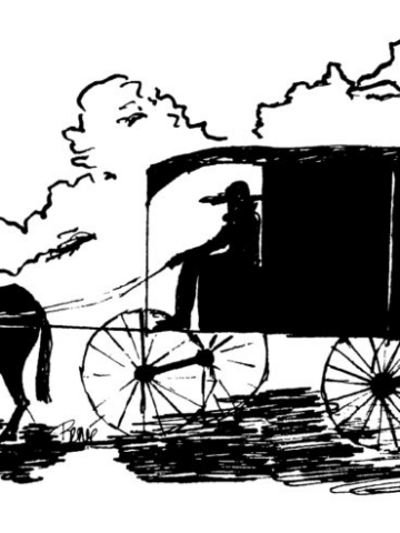The Role of an Amish Bishop: A Glimpse into Leadership and Spiritual ...