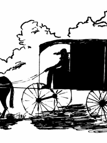 Where are the Amish in Australia? The Truth About Plain Communities ...